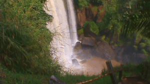 Metche Falls: Where Culture Meets History – Cameroon Travel and Leisure ...